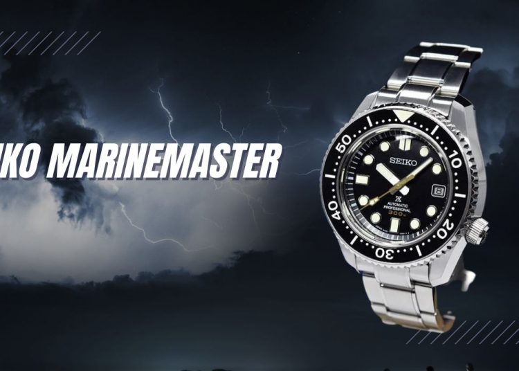 10 BEST Seiko Turtle Watches that Are Classy & Affordable!