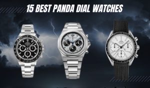 15 BEST Panda Dial Chronographs (Black 'n White Goodness!)