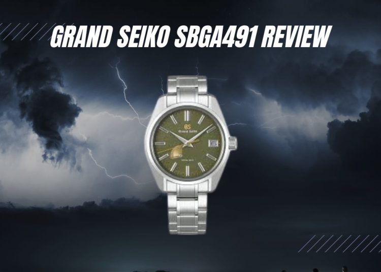 Panerai vs IWC Watches: Brand Comparison - Exquisite Timepieces