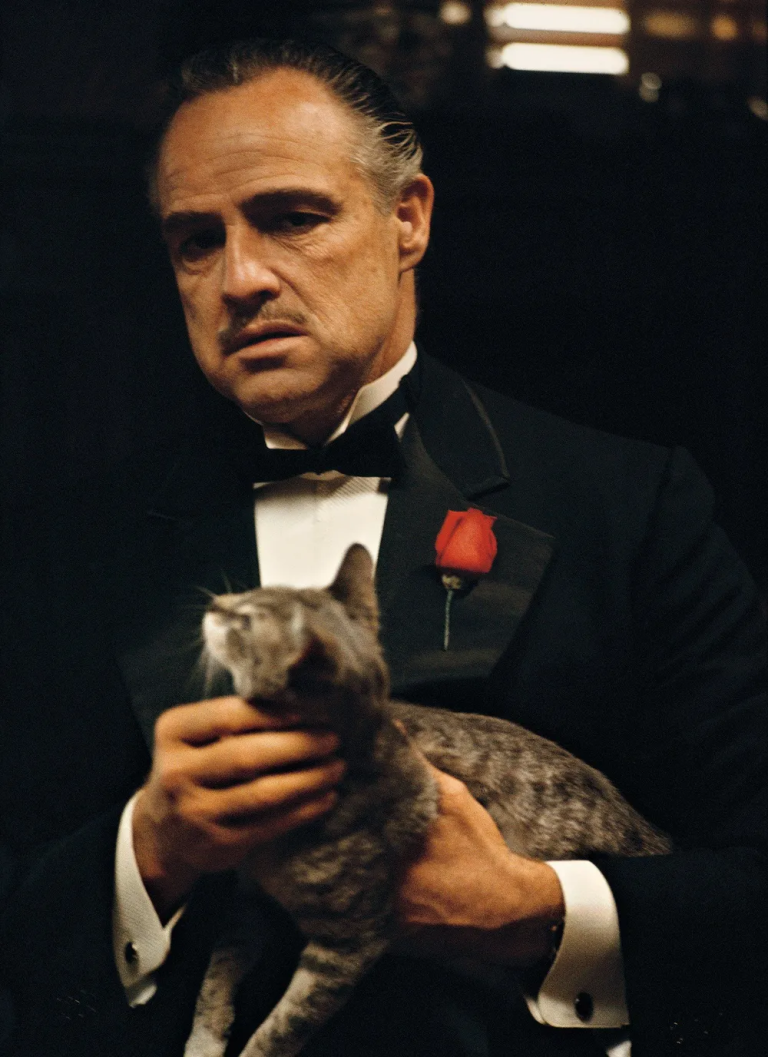 The Godfather Watch: Michael Corleone’s Omega Constellation - Exquisite ...